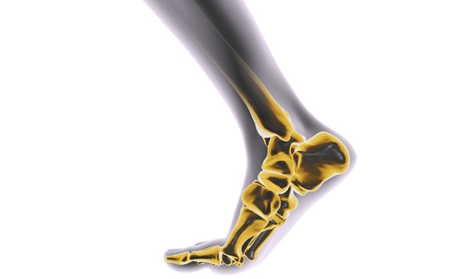 Foot and ankle | Stryker