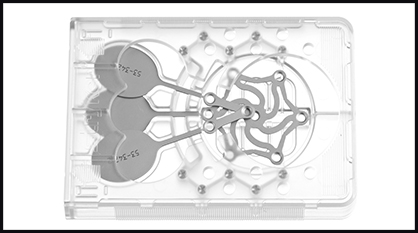 Quality Management | Stryker