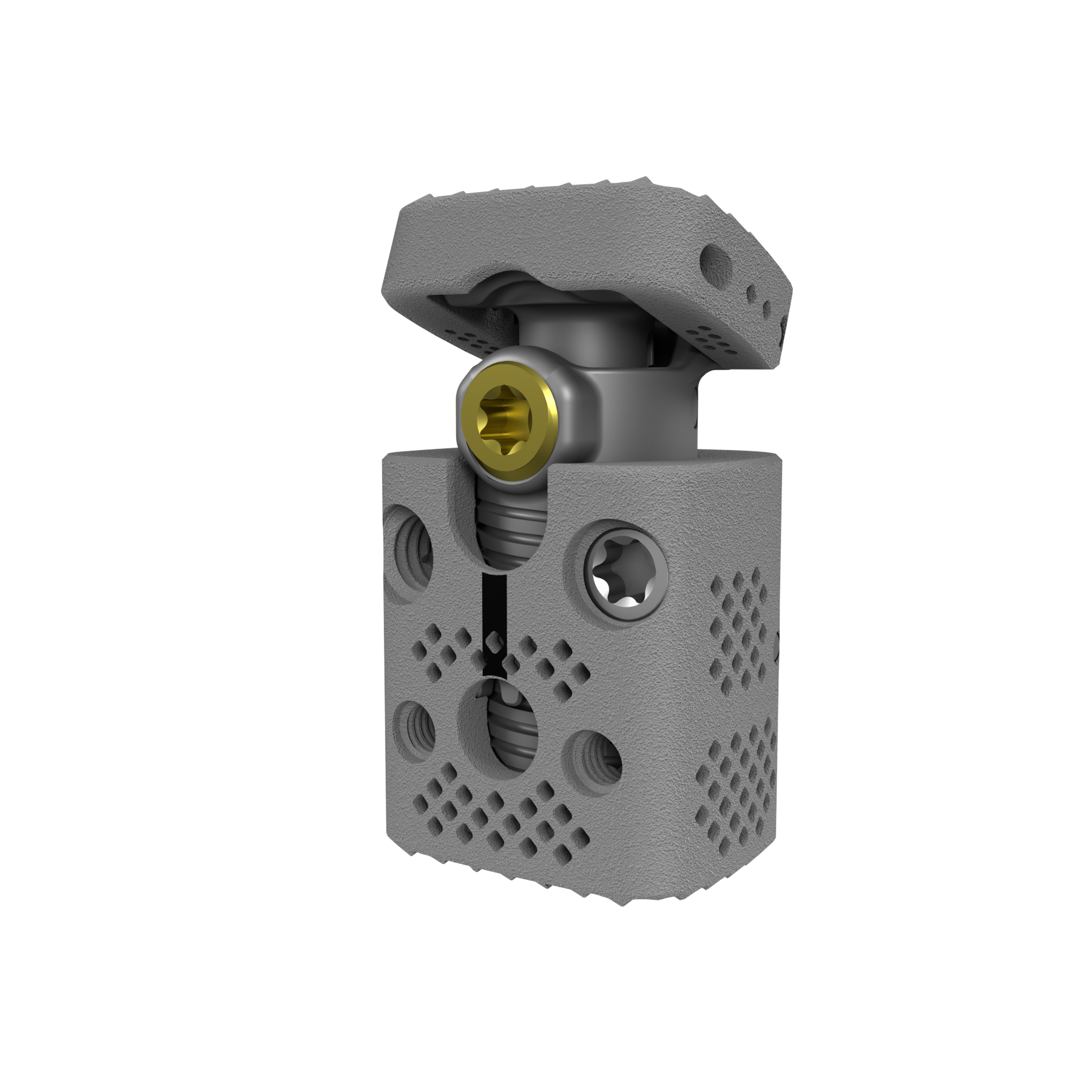 Capri Cervical 3D Expandable | Stryker